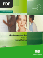 Sage 100 Comptabilité I7 Guide | PDF | Comptabilité | Budget