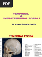 Steiner Stick and Holdaway Analysis | PDF | Human Head And Neck ...