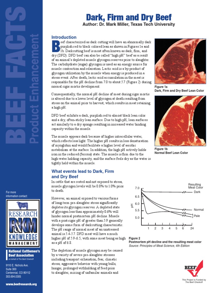 Dark, Firm and Dry Beef-Lectura 3 | PDF | Meat | Cattle