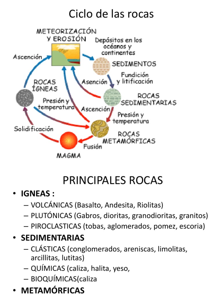 El ciclo de las rocas sedimentarias: formación, tipos y ejemplos | PDF ...