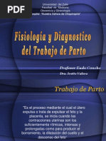 Maniobras en el Parto: Técnicas Clave | PDF | Pelvis | Parto