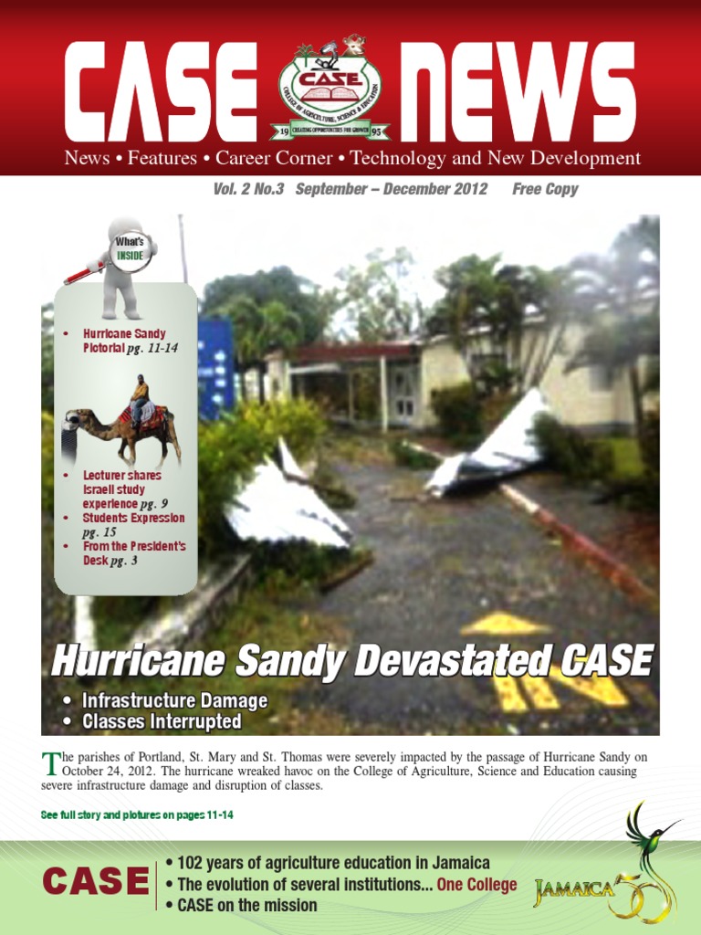 CASE-NEWS Jan 2013 Print-Version | PDF | Jamaica | Tourism