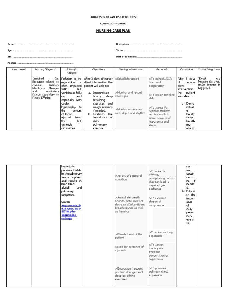 Nursing Care Plan | PDF | Nursing | Breathing