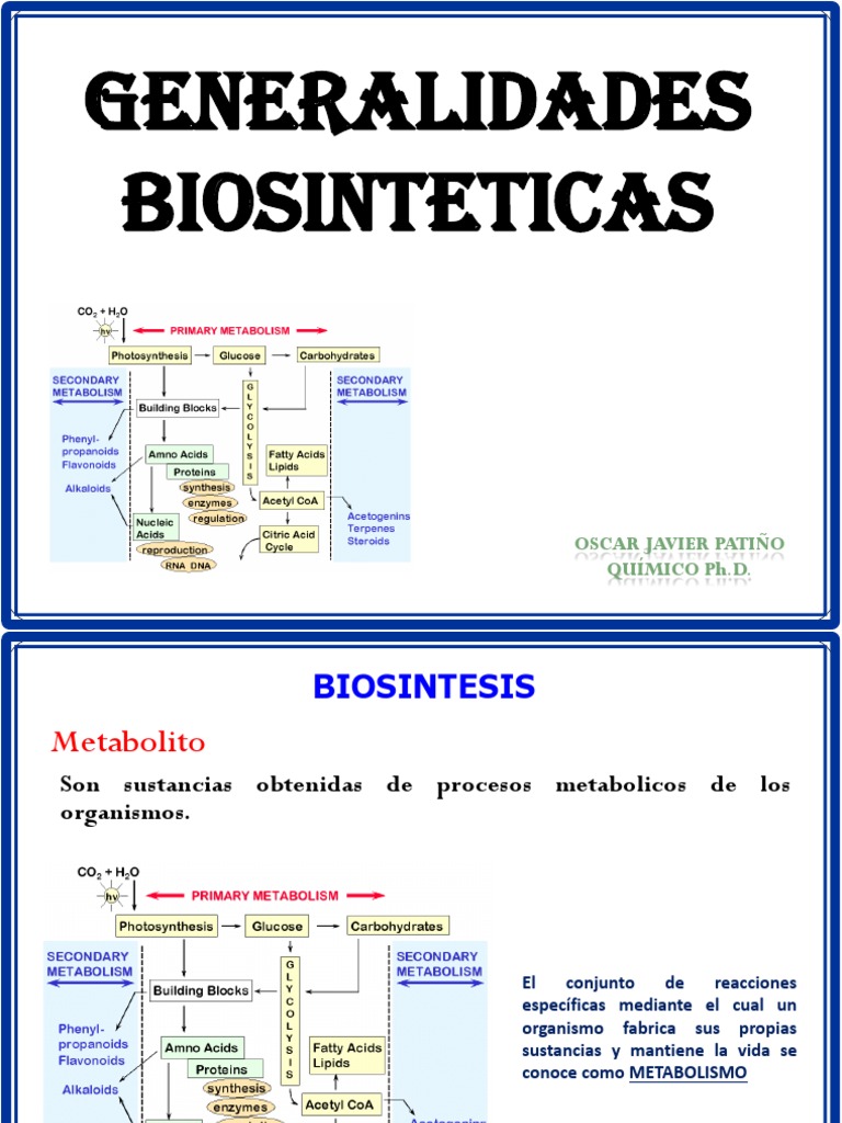 5. BIOSÍNTESIS-2