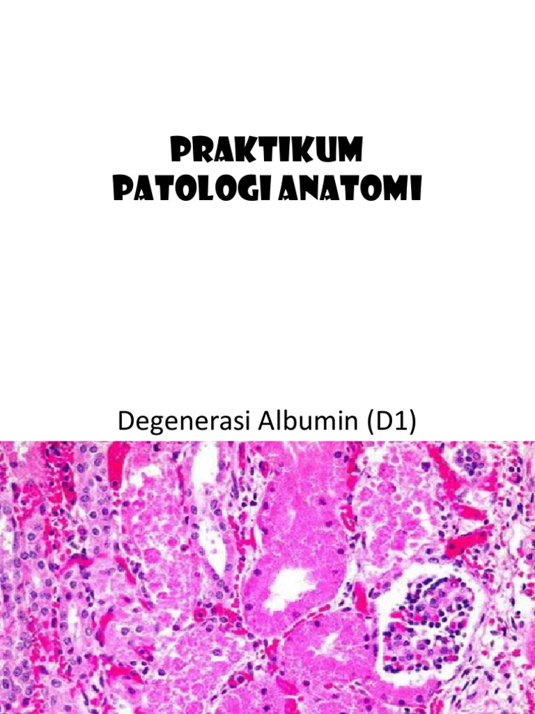Patologi Anatomi | PDF