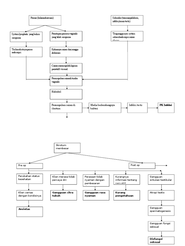 Pathway Hidrokel (SGD 2) | PDF