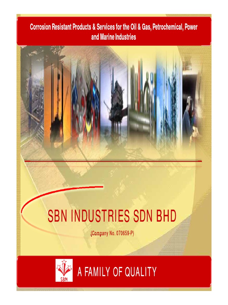 SBN Corp Profile - 2 PDF | PDF | Galvanization | Screw