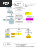Cap Pathophysiology | PDF