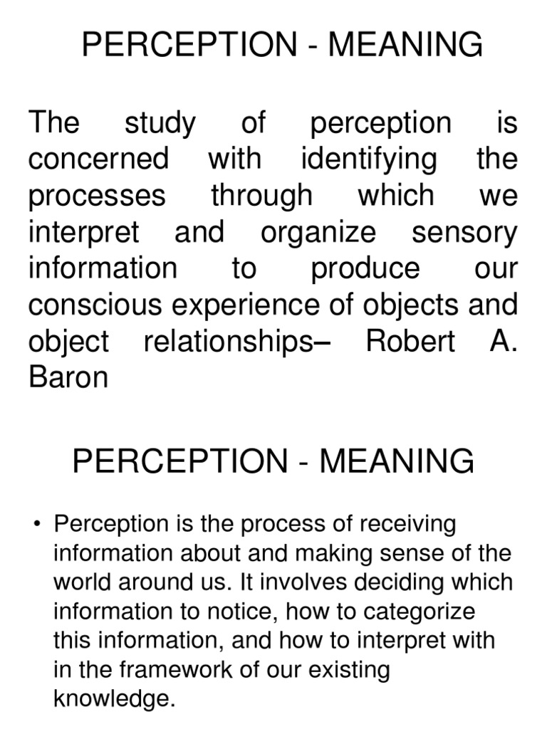 What does perception mean store