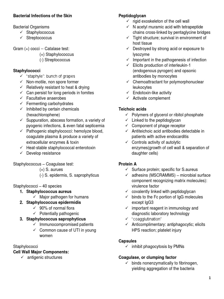 Bacterial Skin Infections: Staphylococcus Overview | PDF ...
