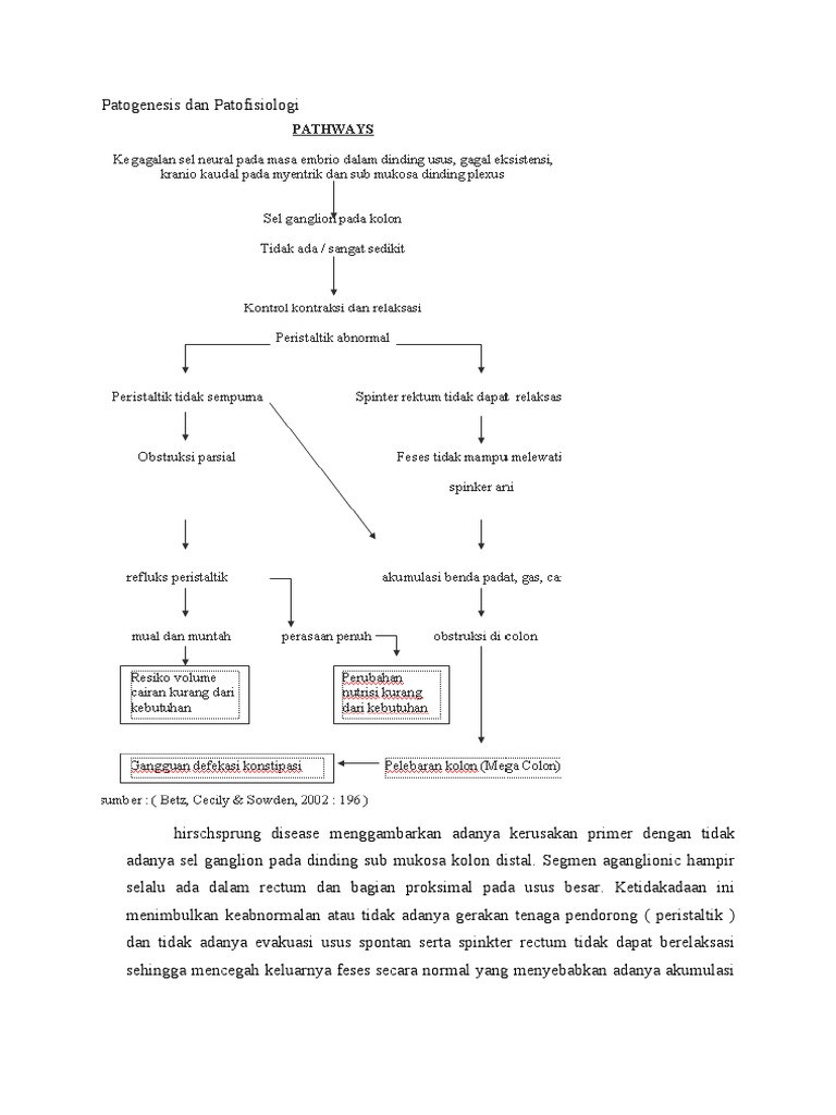 Patogenesis Dan Patofisiologi HD