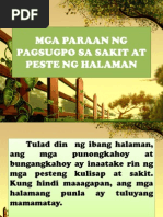 Paghahanda o Paggawa NG Organikong Pestisidyo Mula Sa Mga Halaman | PDF