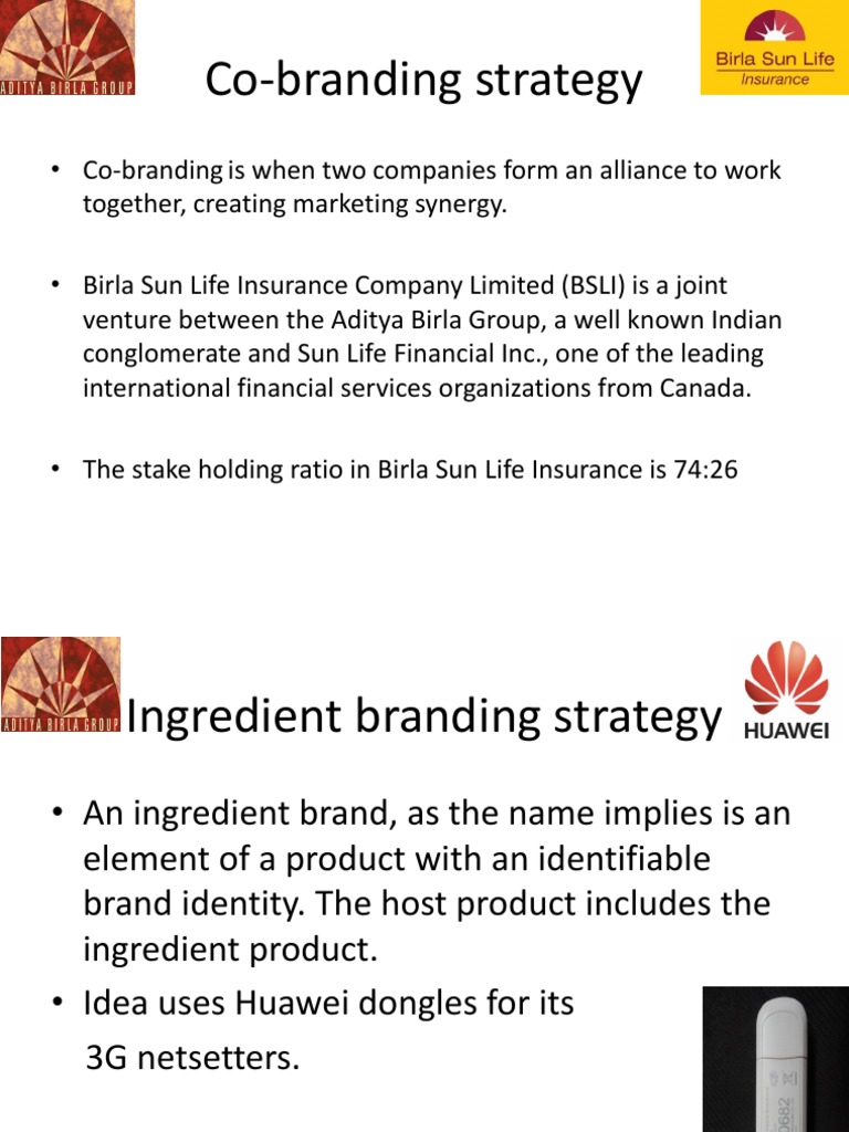 Co-Branding in Birla Sun Life Insurance | PDF