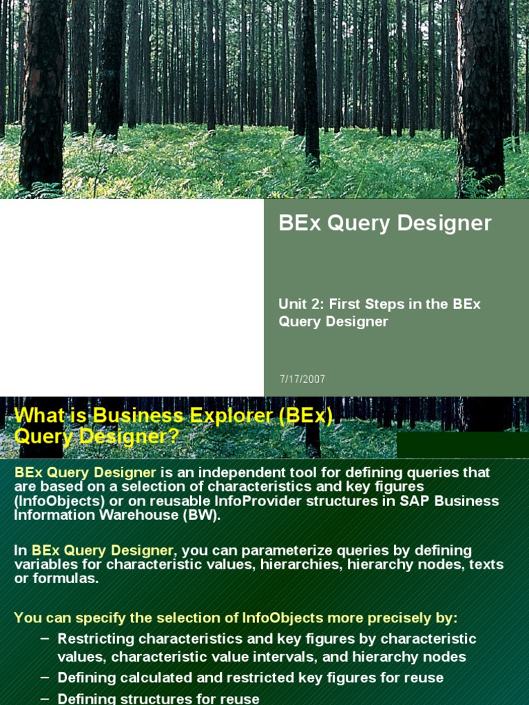BI L3 BEx Query Designer Unit 2 | PDF
