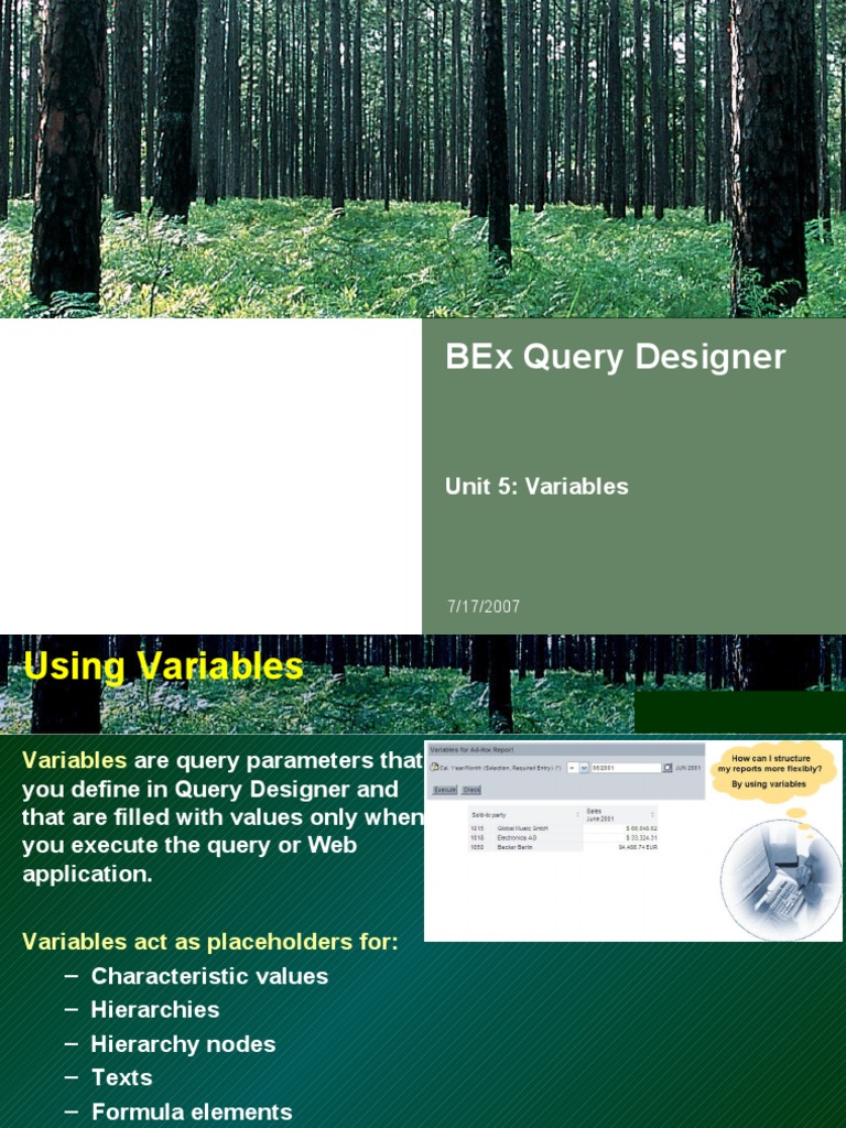 BI L3 BEx Query Designer Unit 5 | PDF | Variable (Computer Science) | Variable (Mathematics)