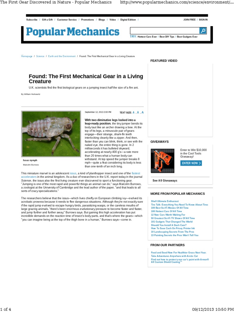 First Gear Discovered in Nature | PDF | Gear | Science