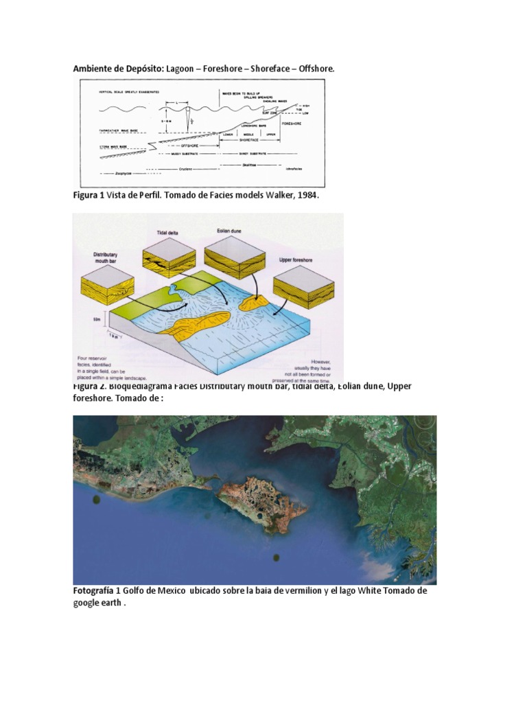 Lagoon Foreshore Shoreface Offshore | PDF