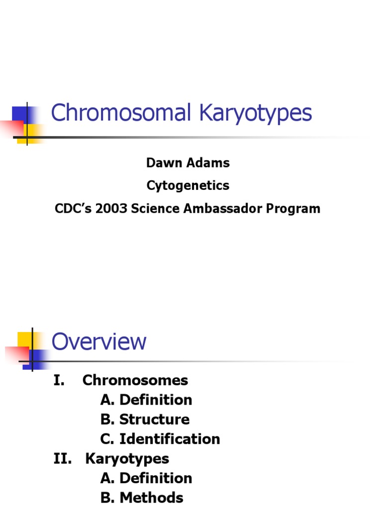 Chromosomal Karyotypes | PDF | Karyotype | Chromosome