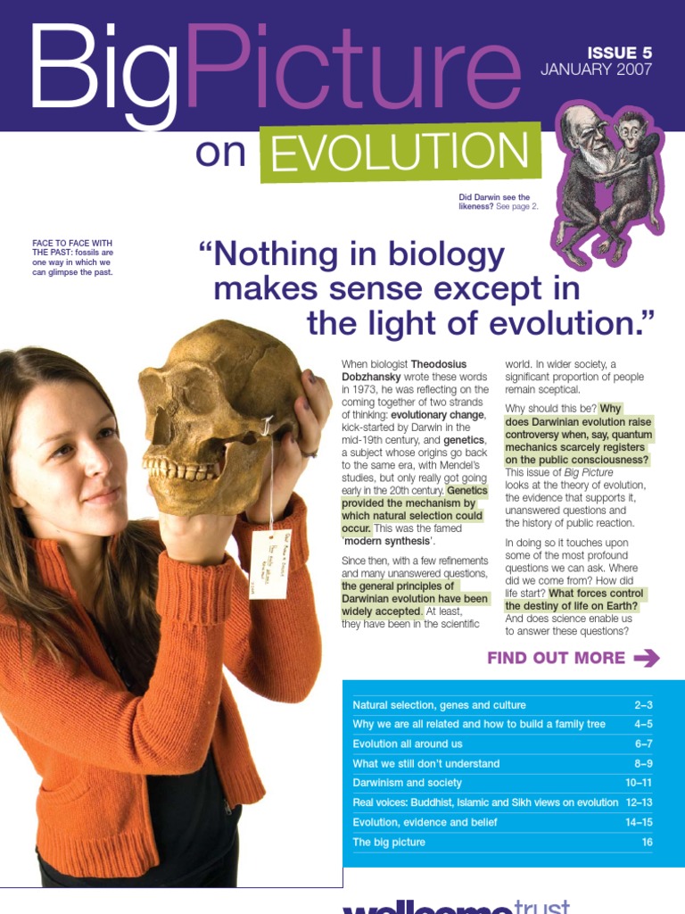 Big Picture On Evolution | PDF | Natural Selection | Evolution