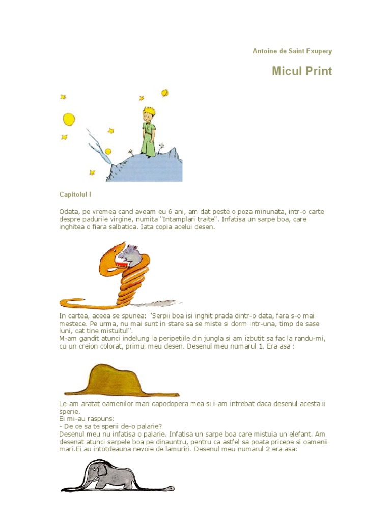 Micul Print Carte | PDF