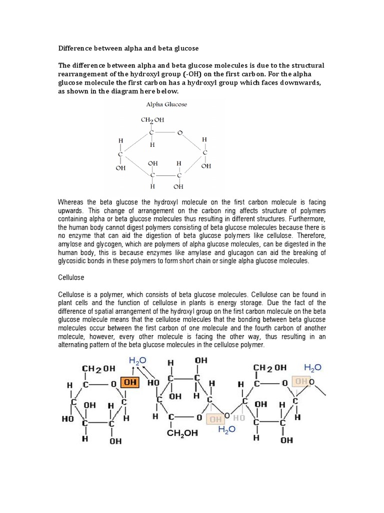 Difference Between Alpha and Beta Glucose | Glucose | Glycogen