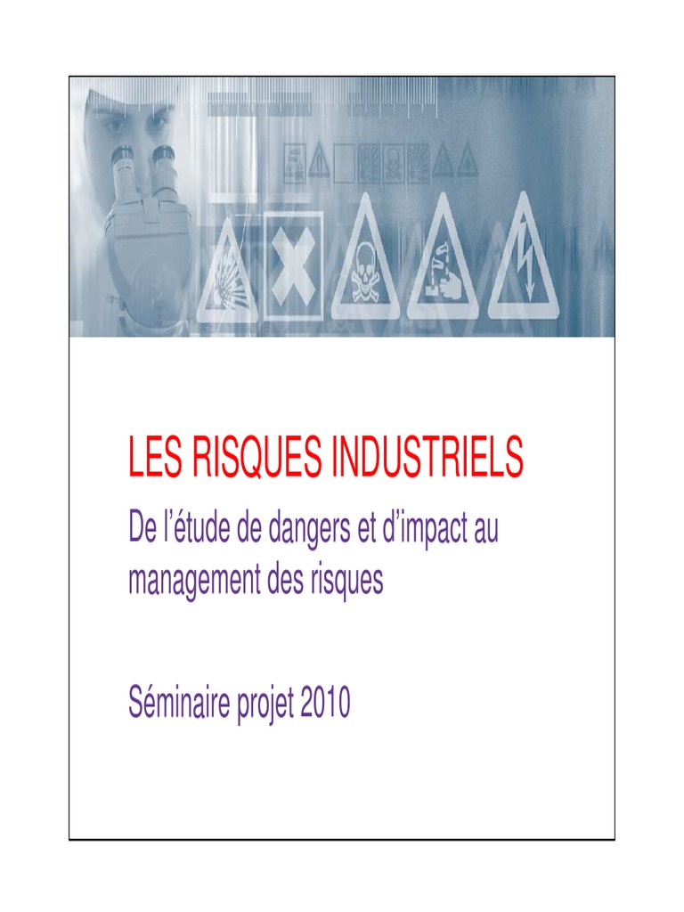 Seminaire Risque Industriel | PDF | Risque | Gestion des risques
