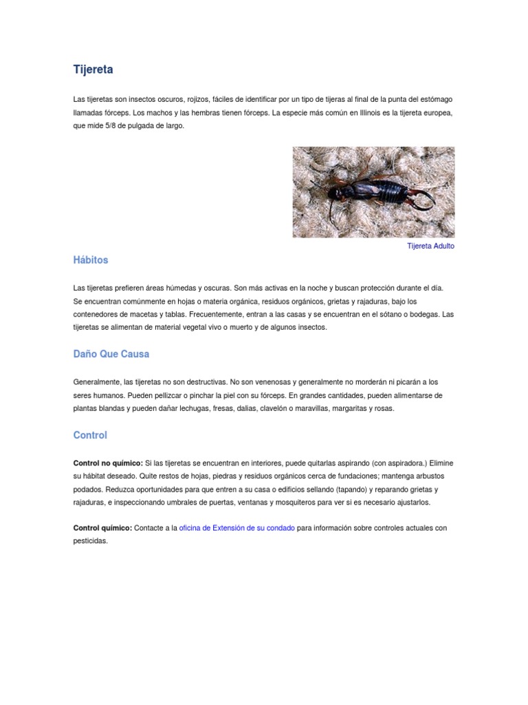 Tijereta | PDF | Organismos | Naturaleza