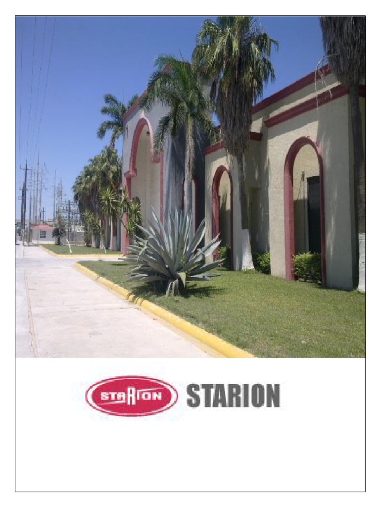 Empresa Starion | PDF | Calidad (comercial) | Liderazgo