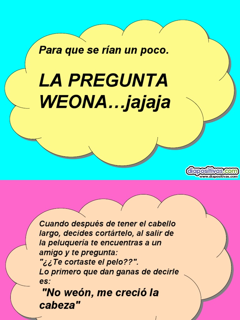 Preguntas Estupidas | PDF