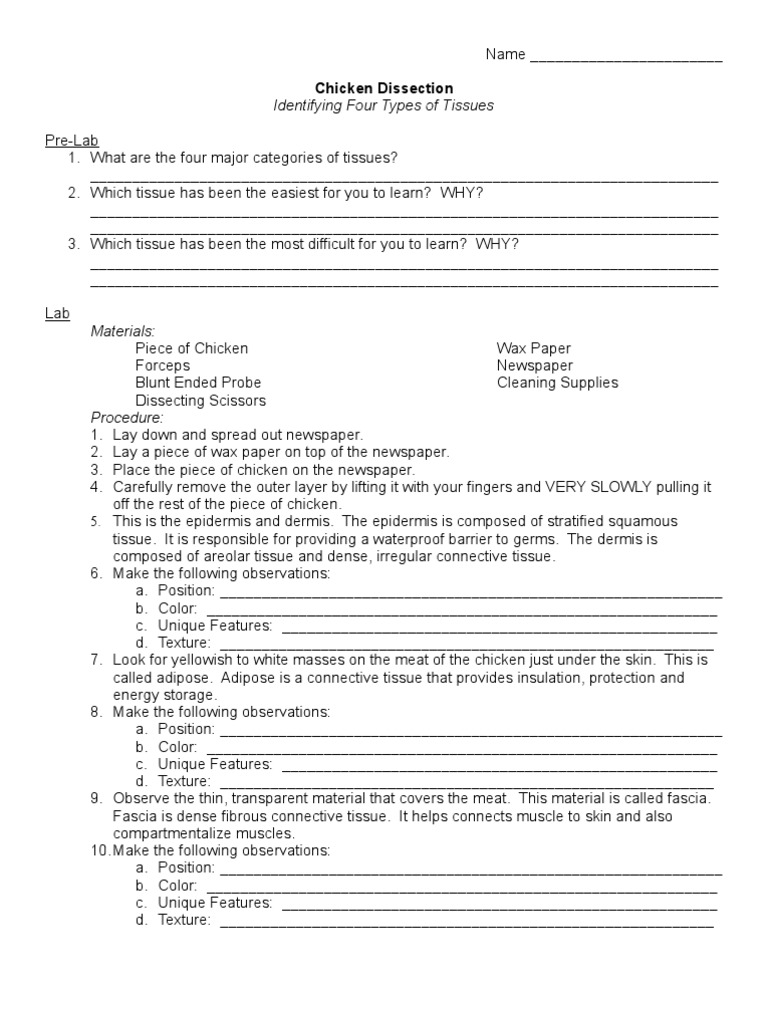 Chicken Dissection | PDF | Tissue (Biology) | Muscle