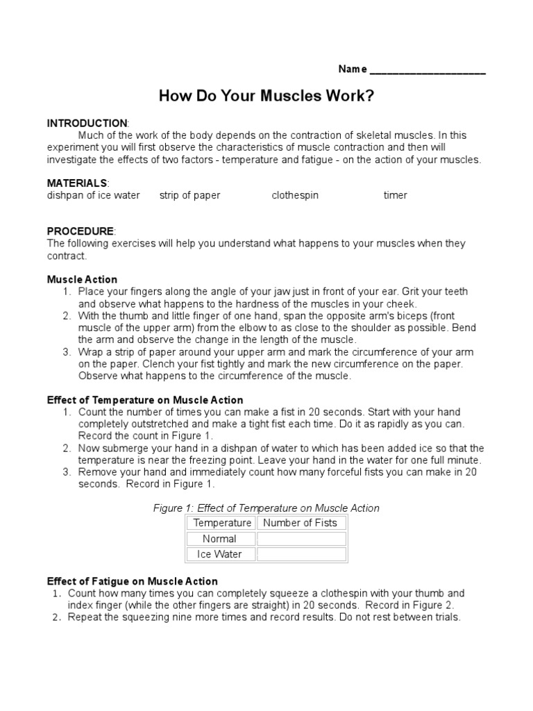 Muscle Fatigue Lab | PDF | Muscle | Hand