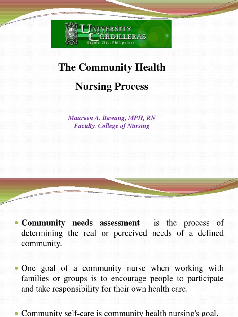 Community Health Nursing Process Overview | PDF | Needs Assessment ...