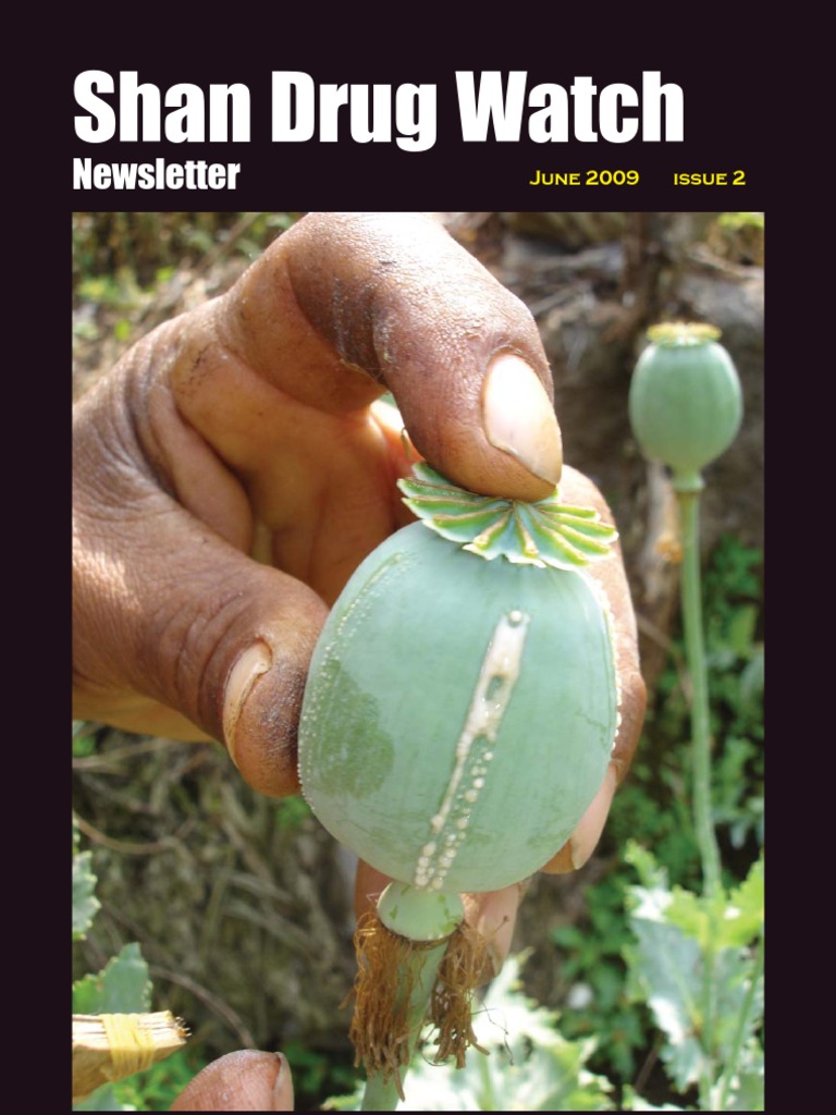 Shan Drug Watch 2009 | PDF | Myanmar