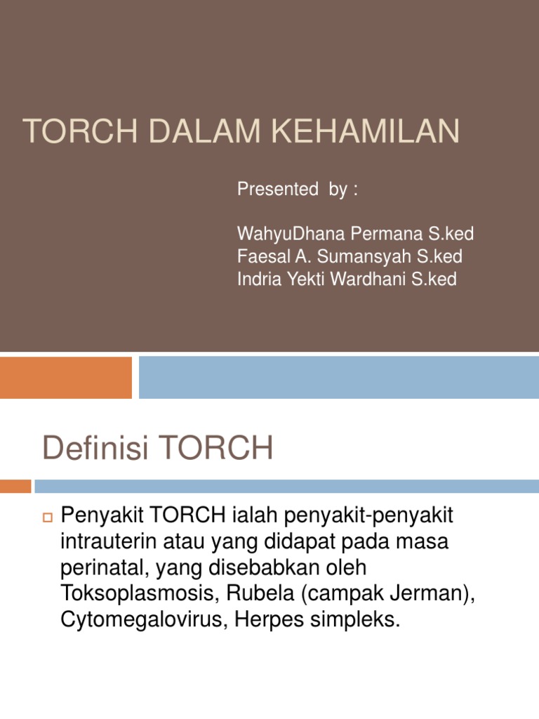 Torch | PDF