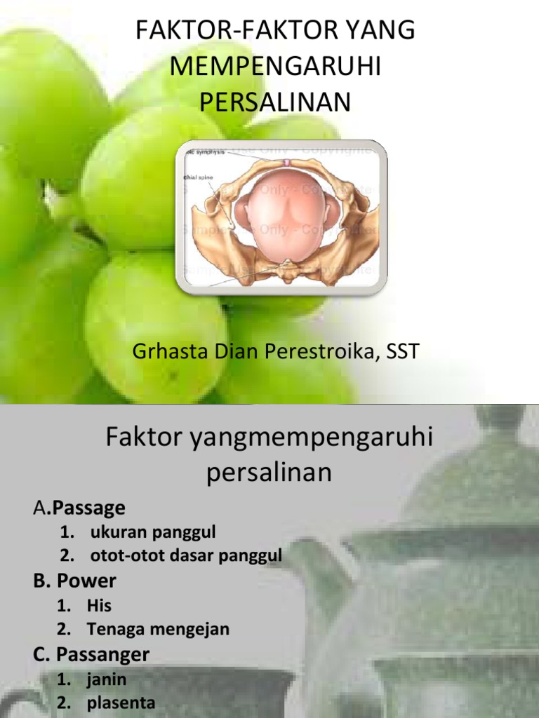 Faktor-Faktor Yang Mempengaruhi Persalinan | PDF | Pengembangan Diri | Kesehatan Holistik