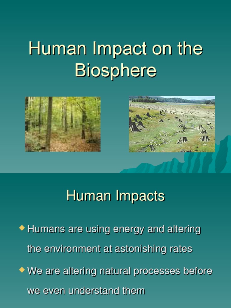 Lecture (Human Impact Environment) | PDF | Combined Sewer | Sewage ...