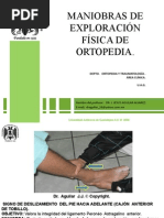 Prueba Del Signo de Patrick o FABER | PDF | Ciencia y matemáticas