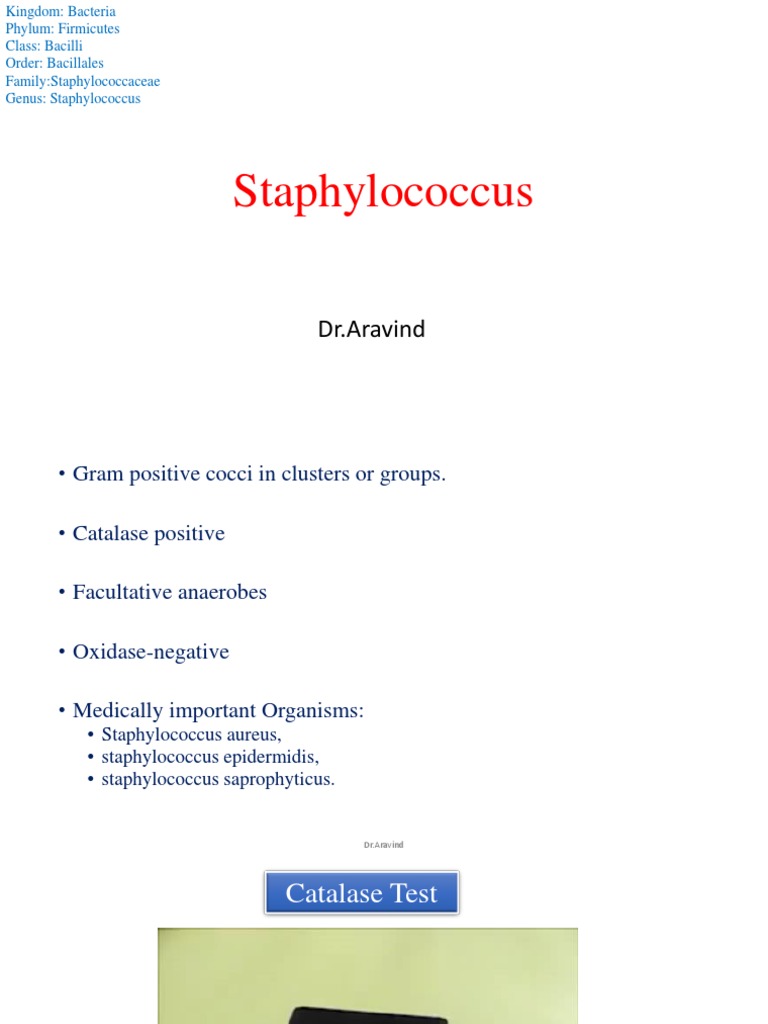 Staphylococcus (Staphylococcus Aureus, Staphylococcus Epidermidis, and ...