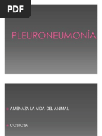 PIOTÓRAX | PDF | Medicina | Inmunología