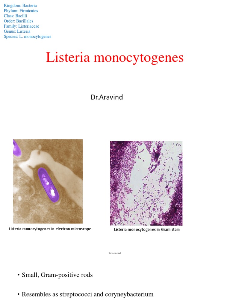 Listeria | PDF