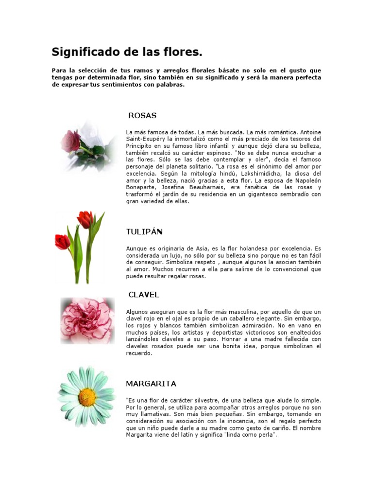Tipos De Flores Y Su Significado🤬 Conecte-se ao exótico deslogando do ... Tipos De Flores Y Su Significado🤬 Conecte-se ao exótico deslogando do ...