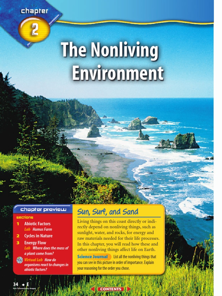 Understanding Abiotic Factors in Ecosystems | PDF | Carbon Dioxide ...