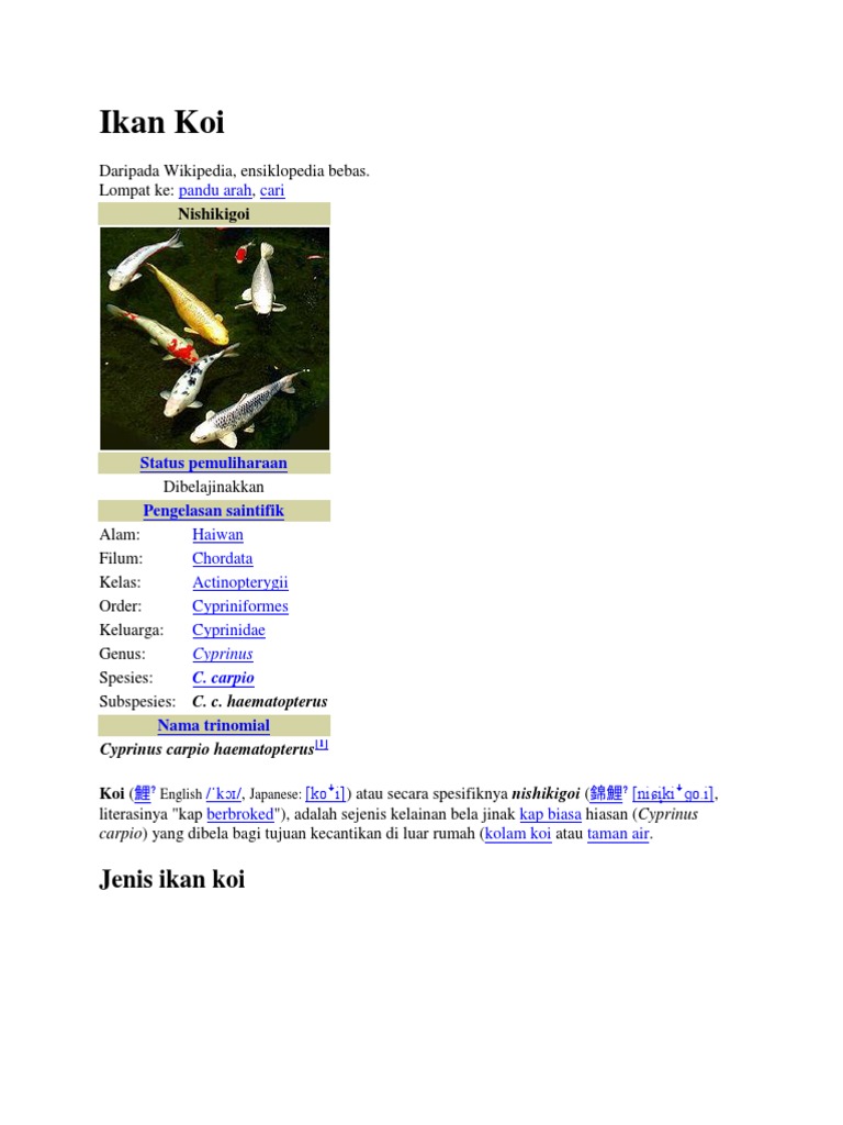 Assignment Ikan Koi | PDF