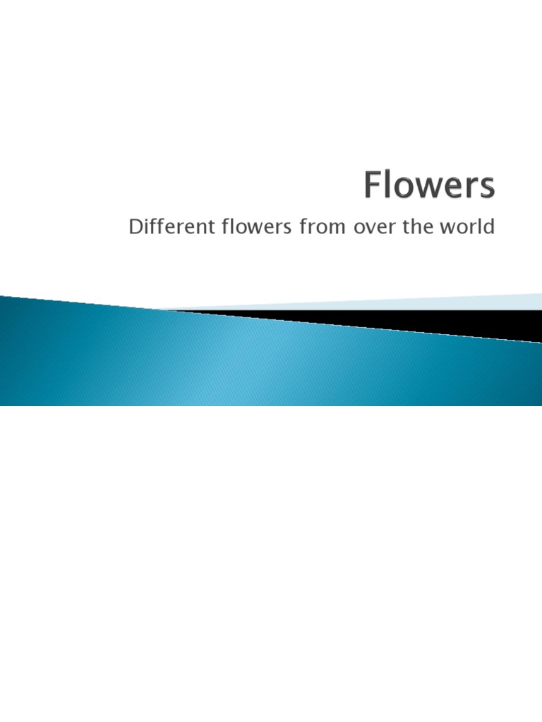 Different Flowers From Over The World | PDF