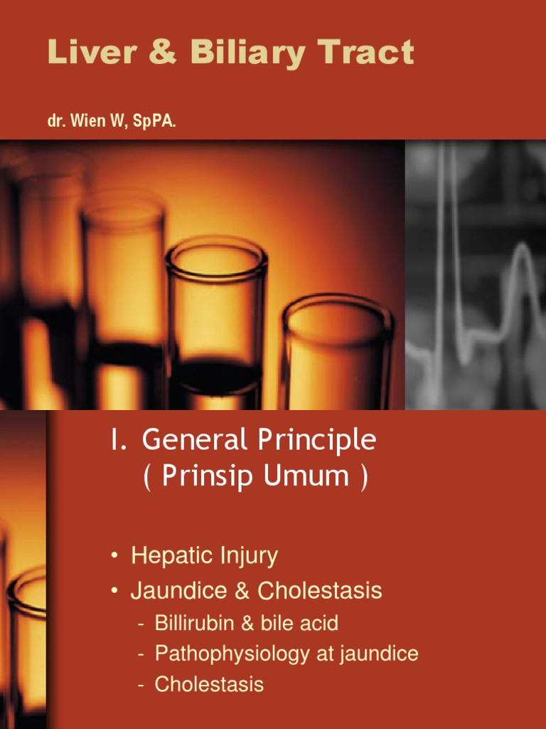 3.liver & Biliary Tract | PDF