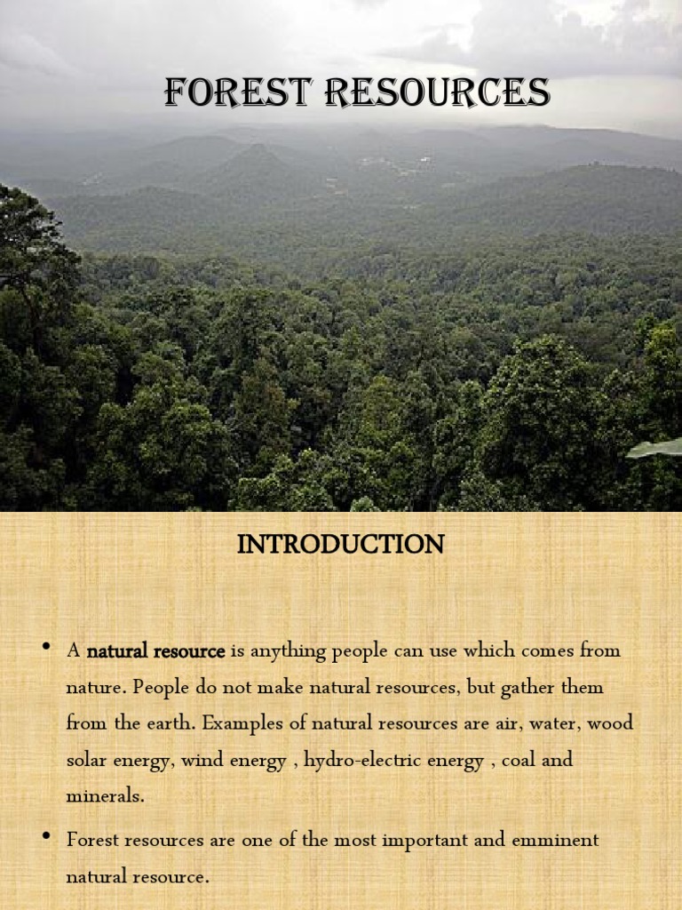 Forest Resources | PDF | Deforestation | Forests