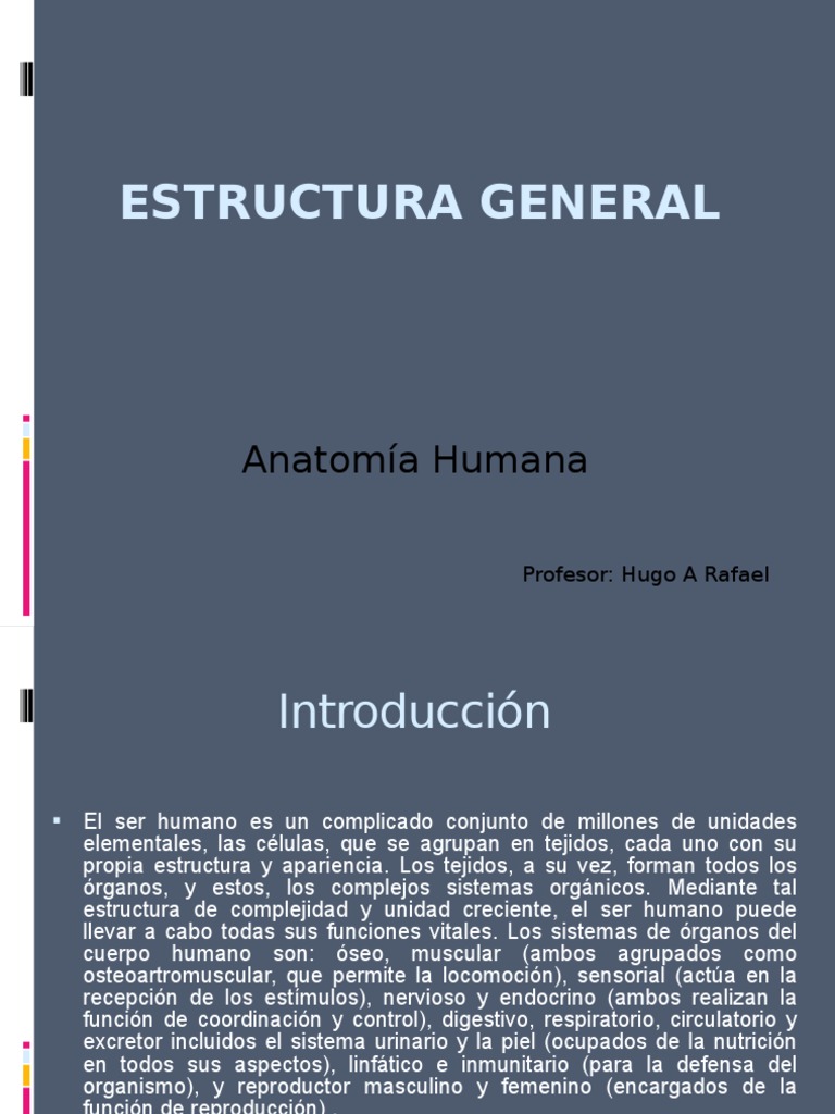Anatomía Humana: Estructura y Funciones | PDF | Músculo | Sistema ...