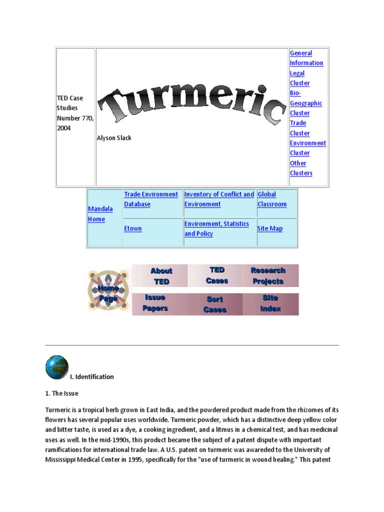 Turmeric | PDF | Trips Agreement | Patent