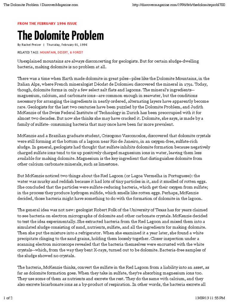 The Dolomite Problem | PDF | Bacteria | Chemical Substances