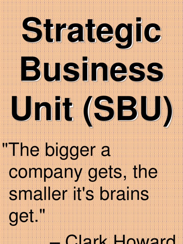 Strategic Business Units (SBU) | PDF | Competition | Business